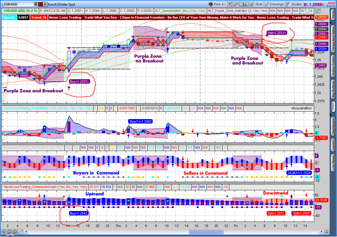 NeverLossTrading Forex